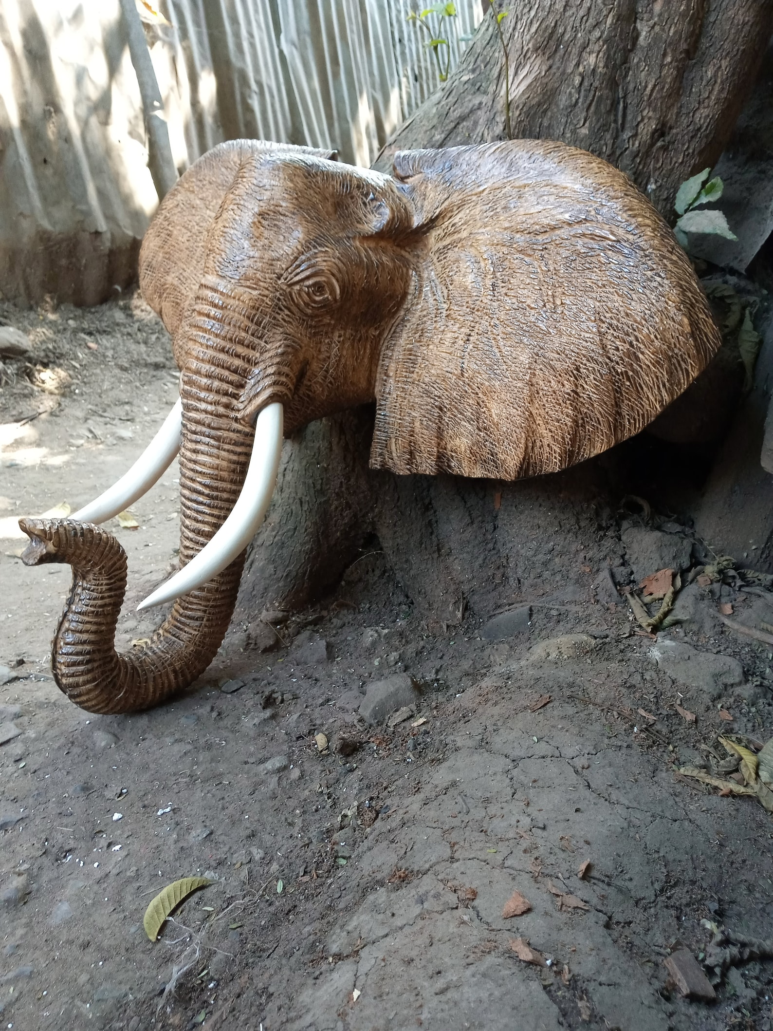 Original Olivewood Female Elephant Head Handmade 1PC Solid Hardwood ...