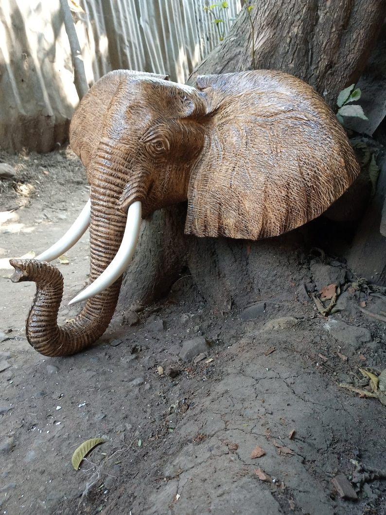 Original Olivewood Female Elephant Head Handmade 1PC Solid Hardwood ...
