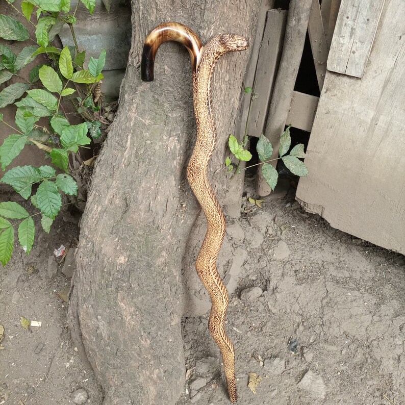 African Python Hook Handle Style Original Hiking Walking Stick Cane ...
