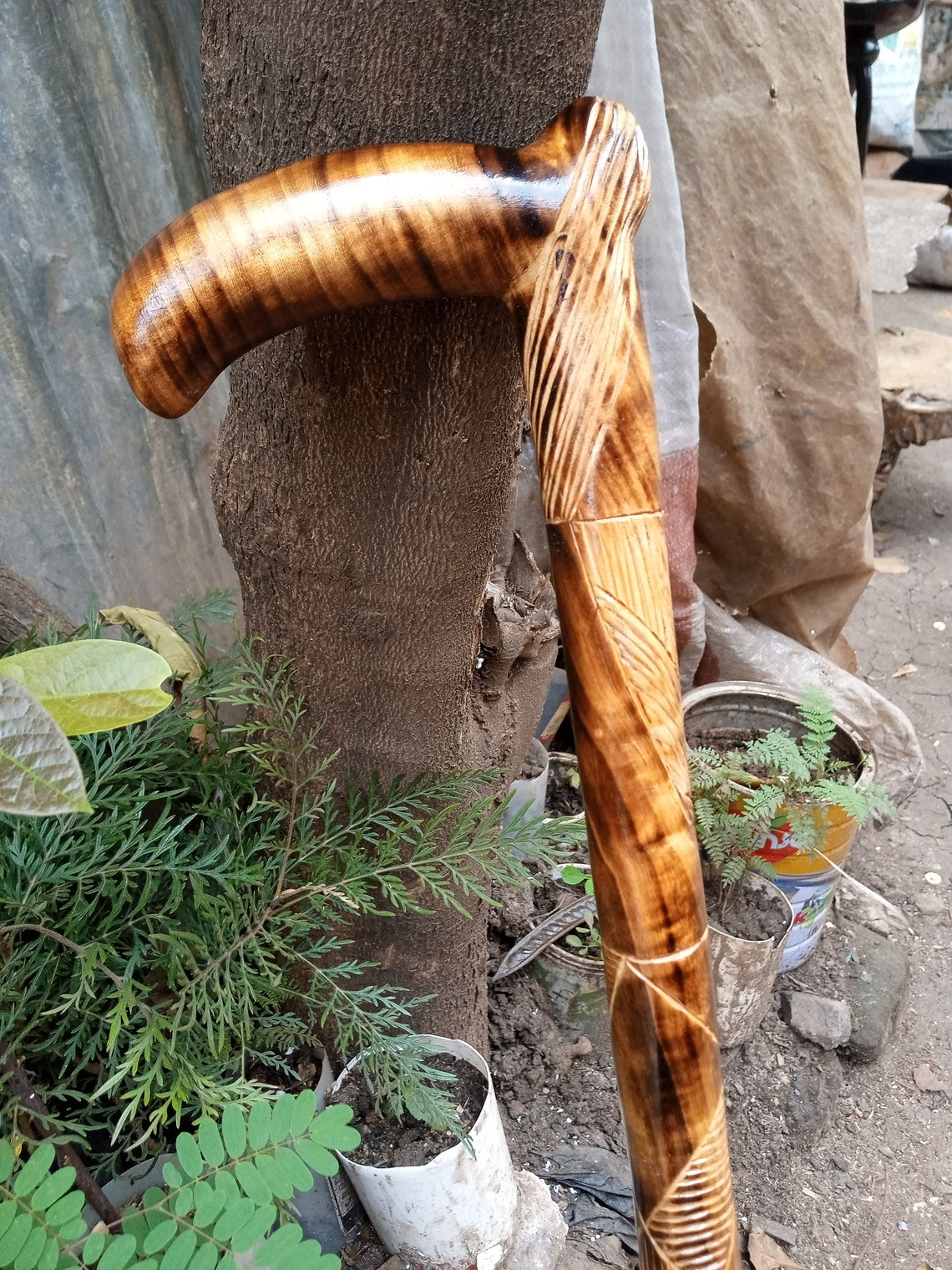 Original Jacaranda Blackwood Rosewood Hiking Walking Stick Cane ...