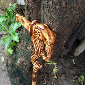 Original African Elephant Head Handle Hiking Stick Walking Cane ...