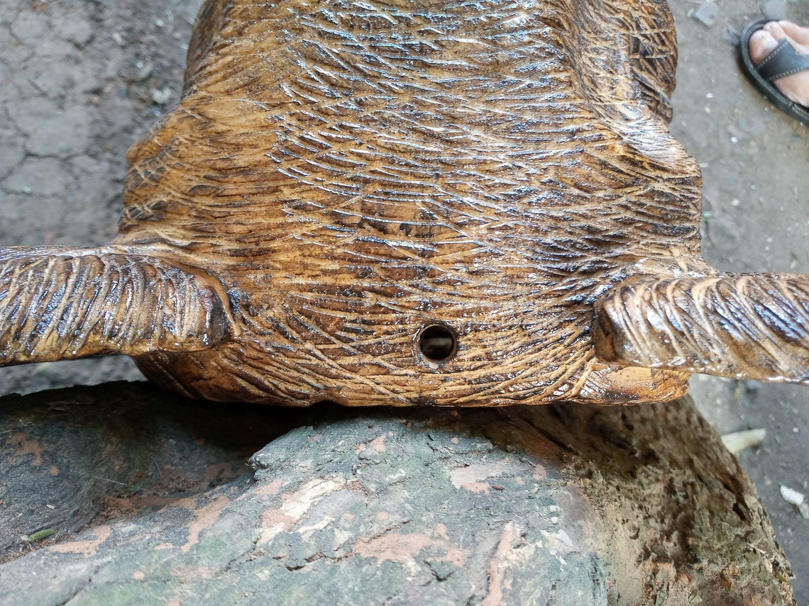 Original Olivewood Female Elephant Head Handmade 1PC Solid Hardwood ...