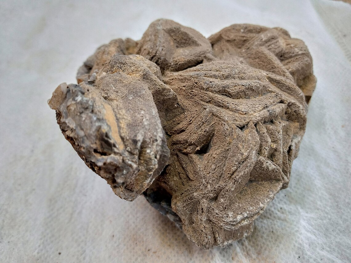 Desert Rose Gypsum Geode Rough Mineral Specimen With Grey Chalcedony ...