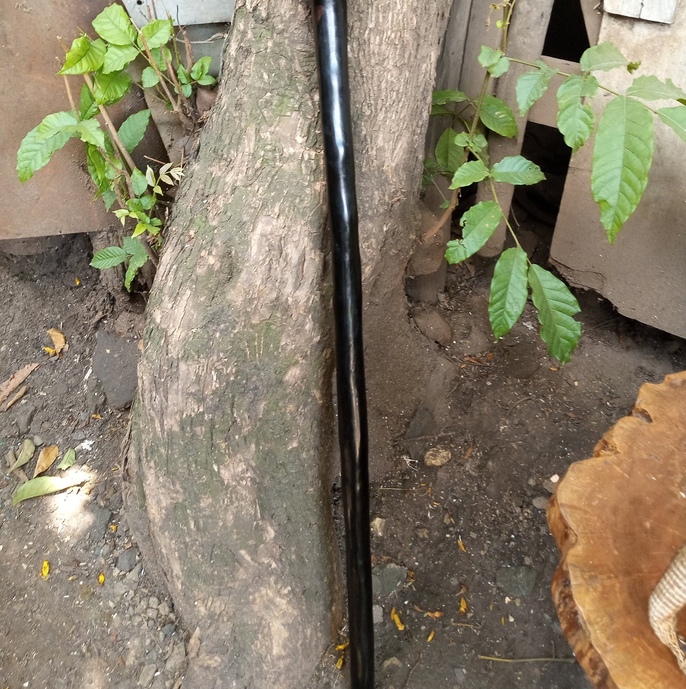 Original 1935 Style African Rosewood Ironwood Mahogany Walking Hiking ...