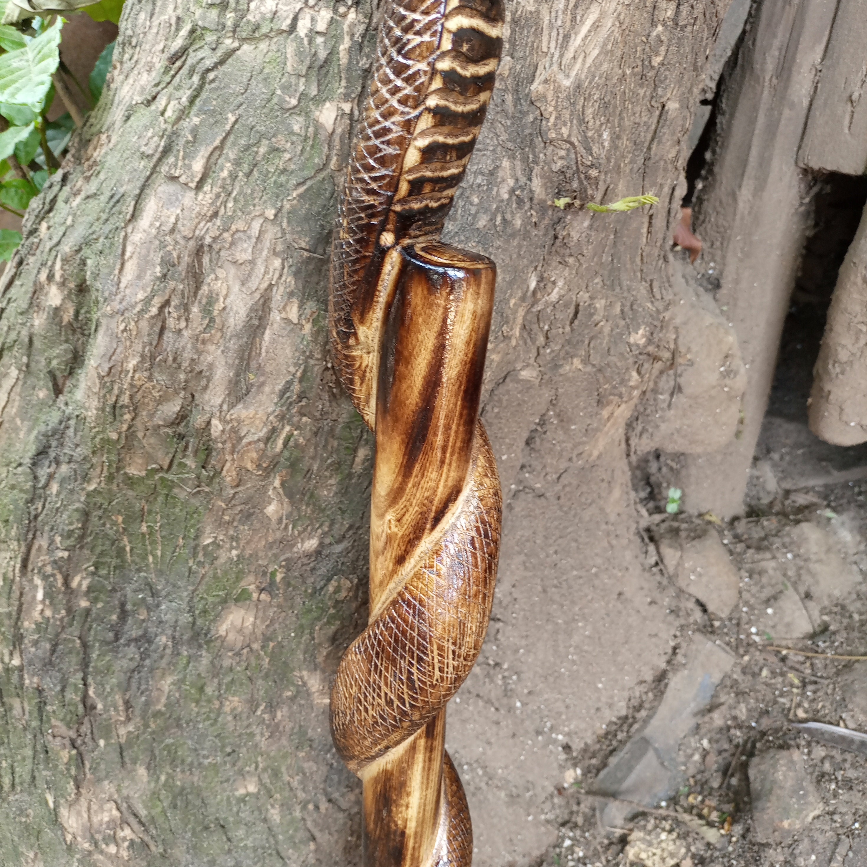 Jacaranda African Cobra Hiking Walking Stick Cane Handmade | Etsy