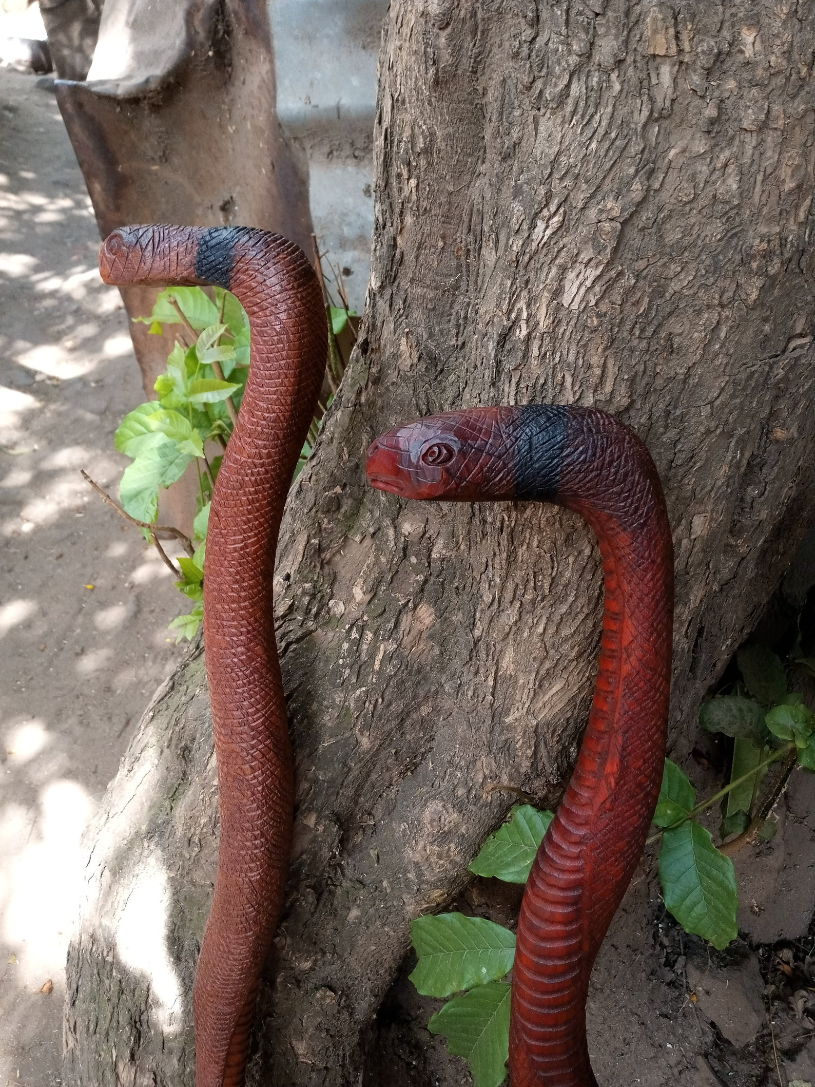 Red Mahogany African Viper Snake Hiking Walking Stick Cane Handmade ...