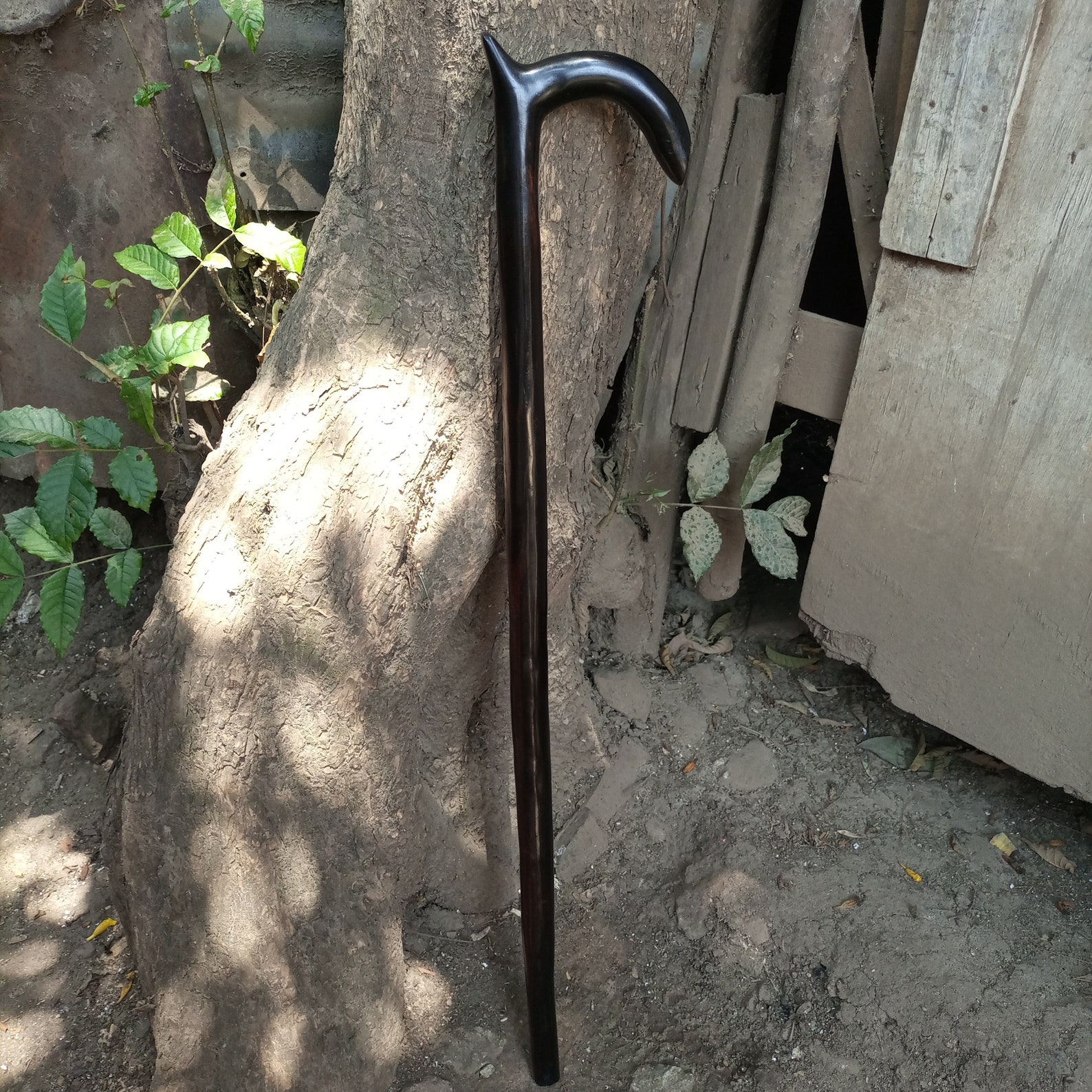 Africa Blackwood Contouring Handle Original Hiking Walking Stick Cane ...