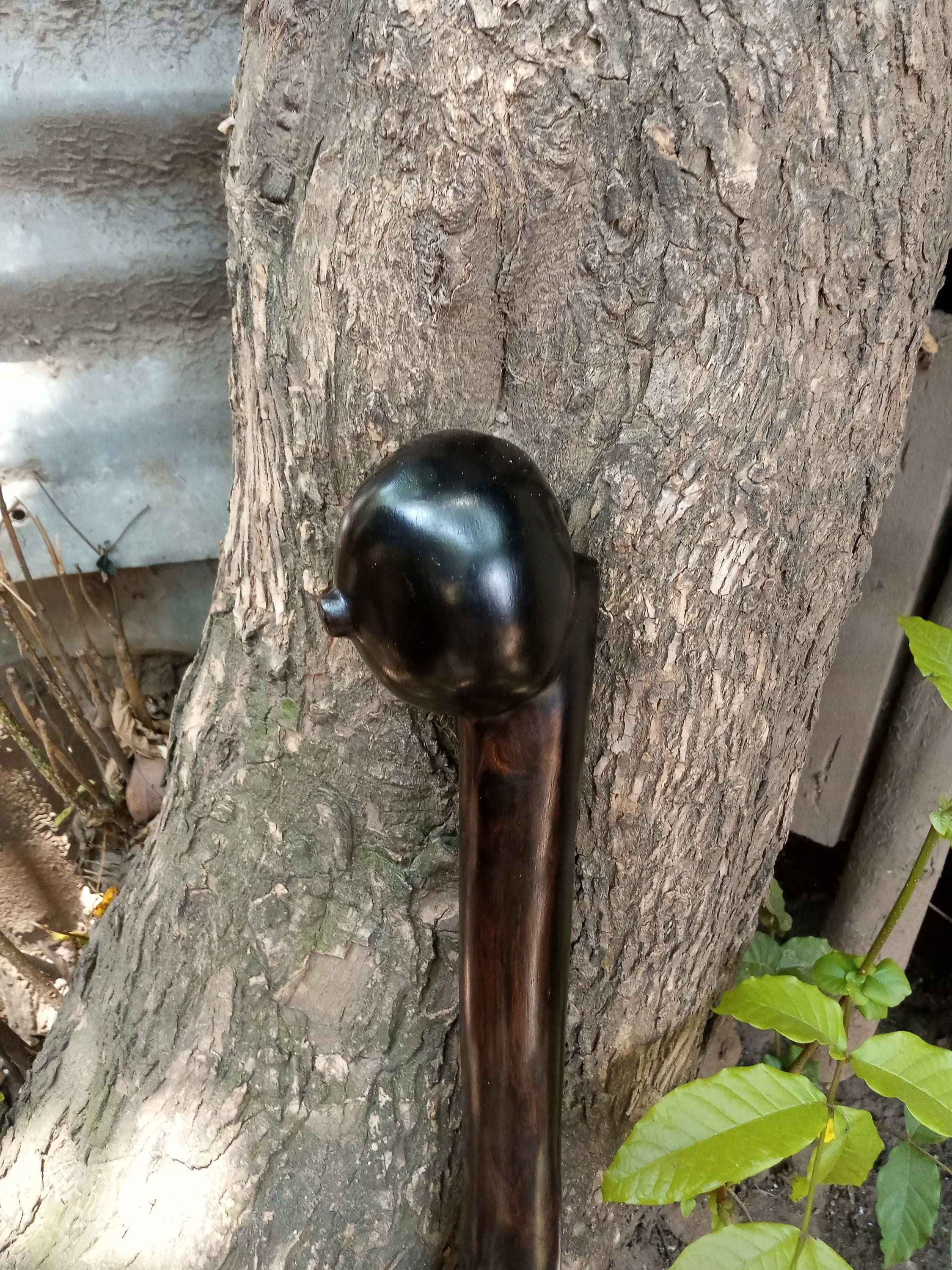 Ambidextrous Original African Cane Unique Gift Walking Stick Handmade ...