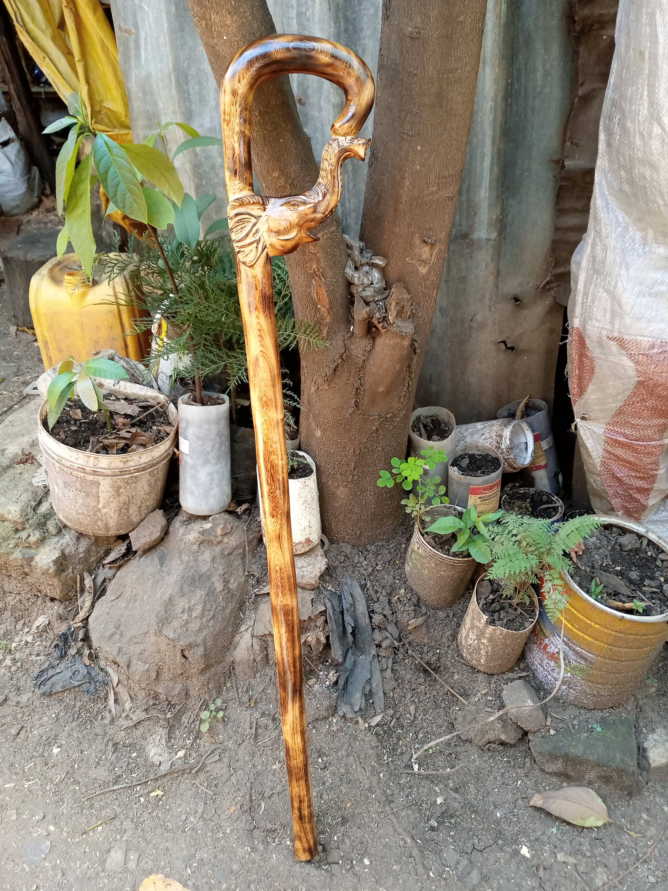 Original African Elephant Head Hiking Walking Stick Cane - Etsy UK