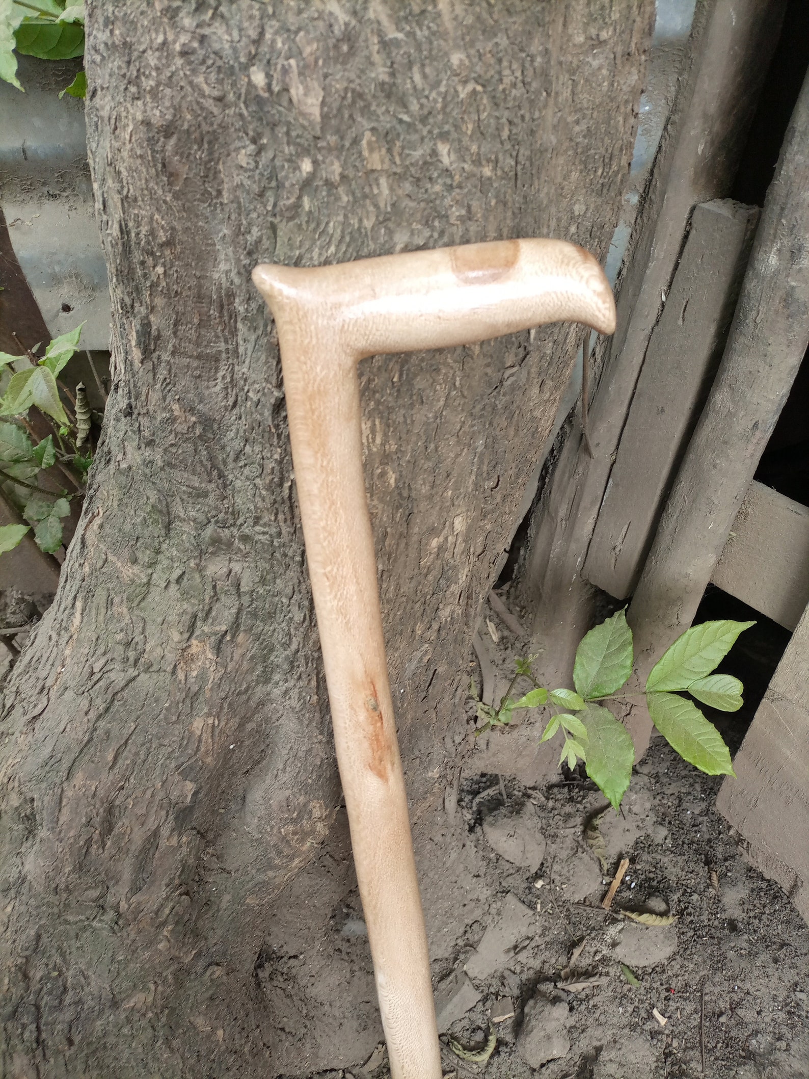 Original 2021 Style African "comfort Curved Handle Grip" Walking Hiking ...
