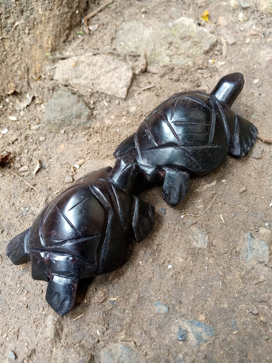 2 Blackwood / Rosewood Schildkröten Schildkröte Original Kamba Kunst ...