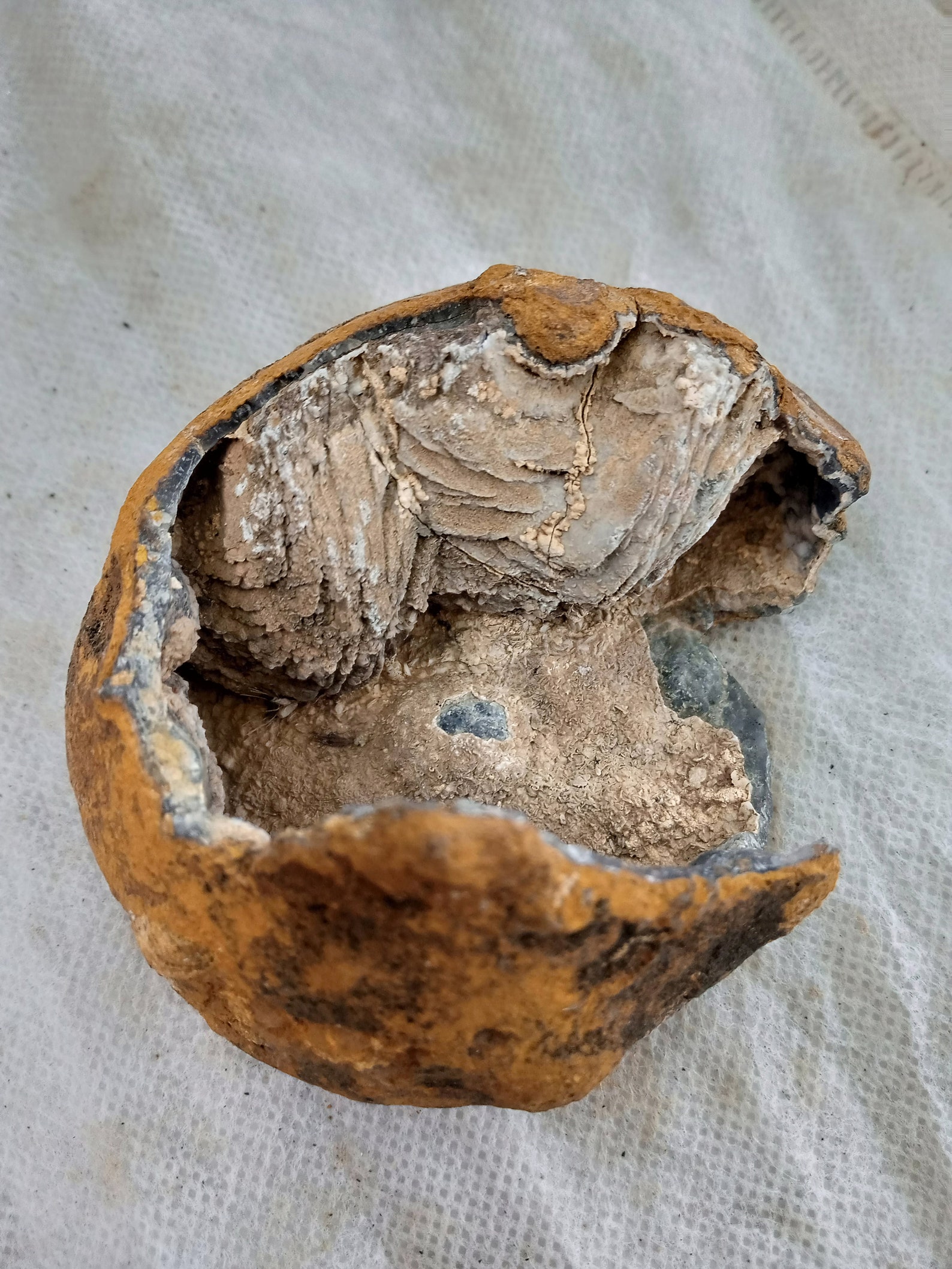 Desert Rose Gypsum Geode Rough Mineral Specimen With Blue - Etsy