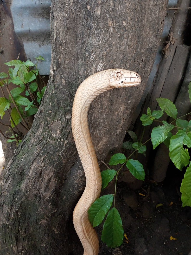 Blue Gum African Mamba Snake Original Hiking Walking Stick Cane ...