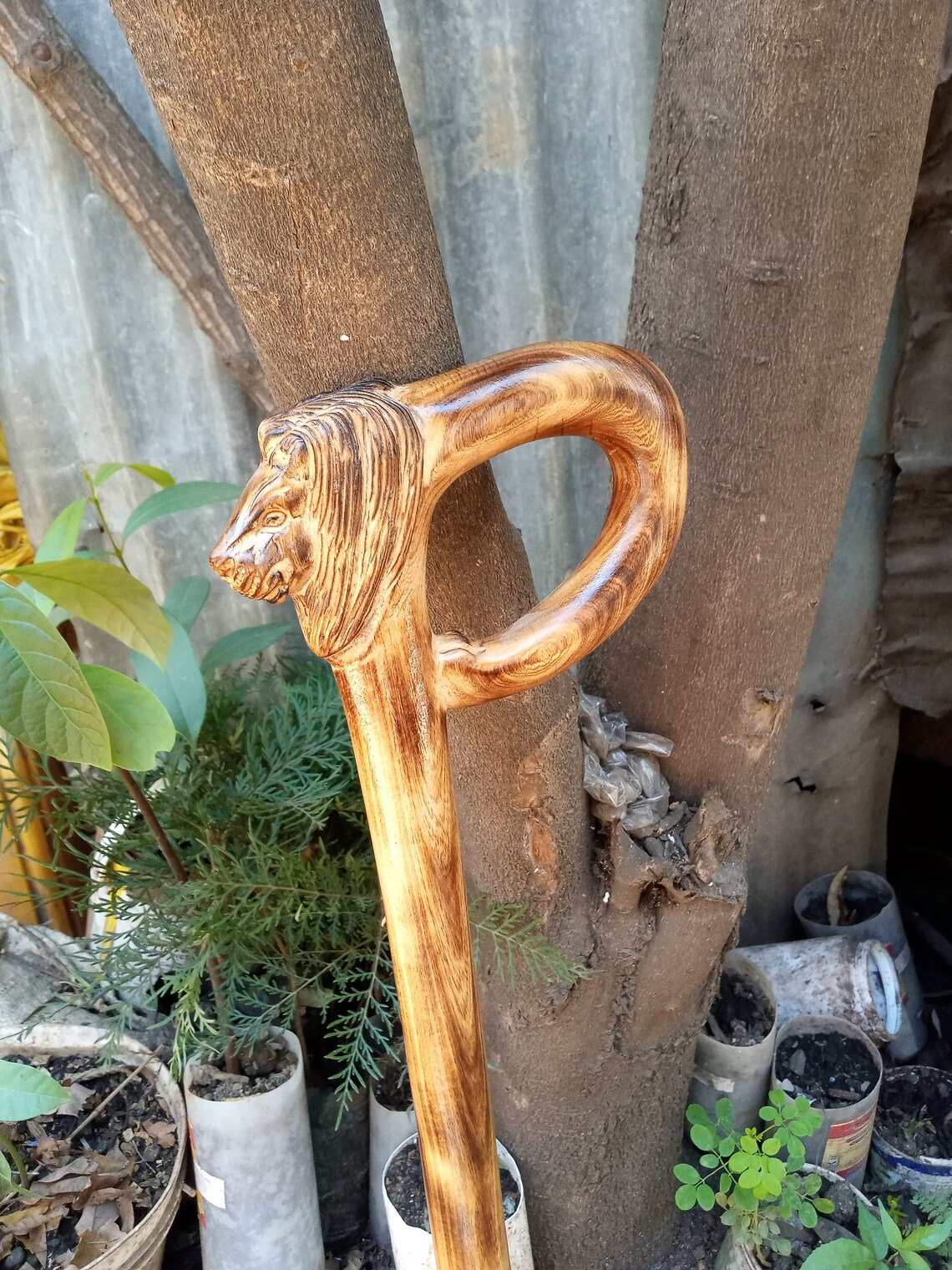 Original African Lion Walking Hiking Stick Cane Kenya Africa | Etsy