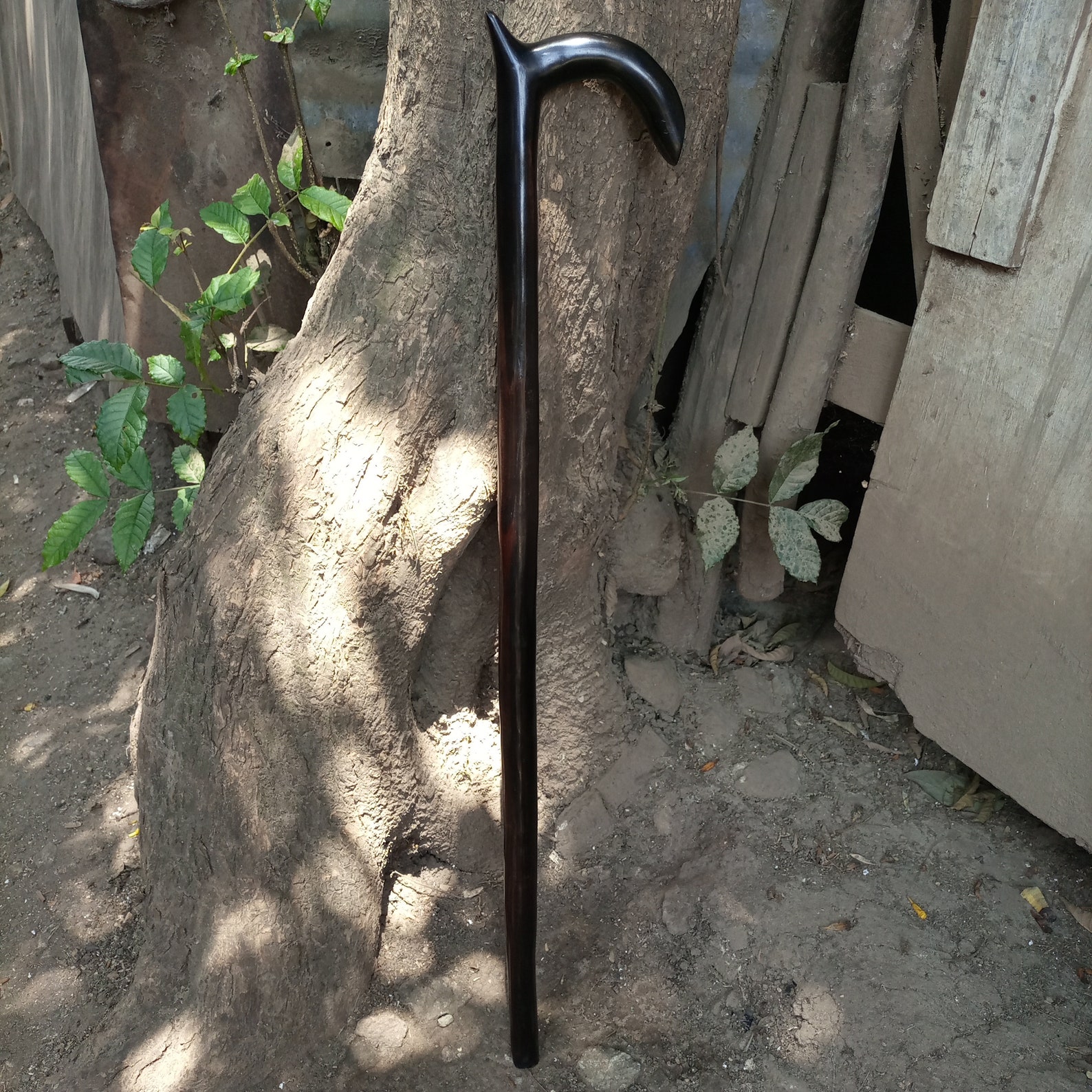 Africa Blackwood Contouring Handle Original Hiking Walking - Etsy