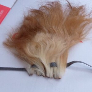 Original Set of 2 or 4 Shown Amashoba Functional Traditional Dance ...