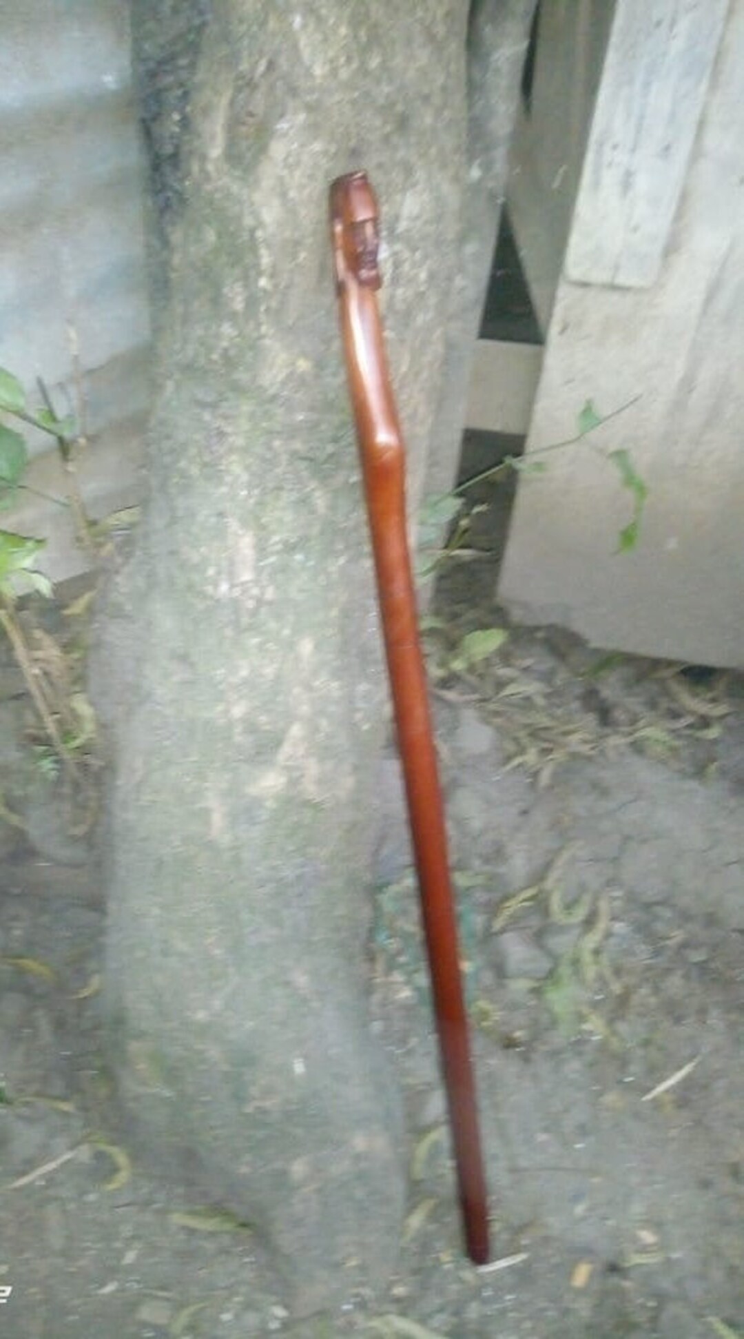 Original African Cane Unisex Walking Stick Maasai Style Handmade Kenya ...