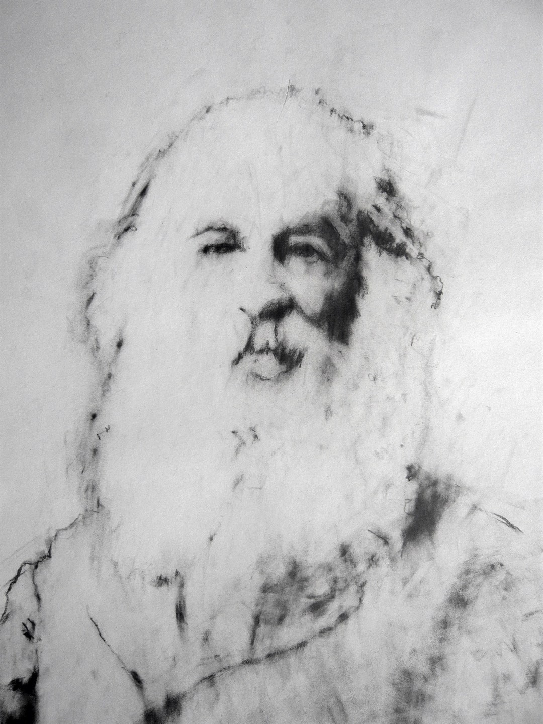 Walt Whitman Portrait. Drawing by Gustau Donat. Modern Art. Graphite on ...