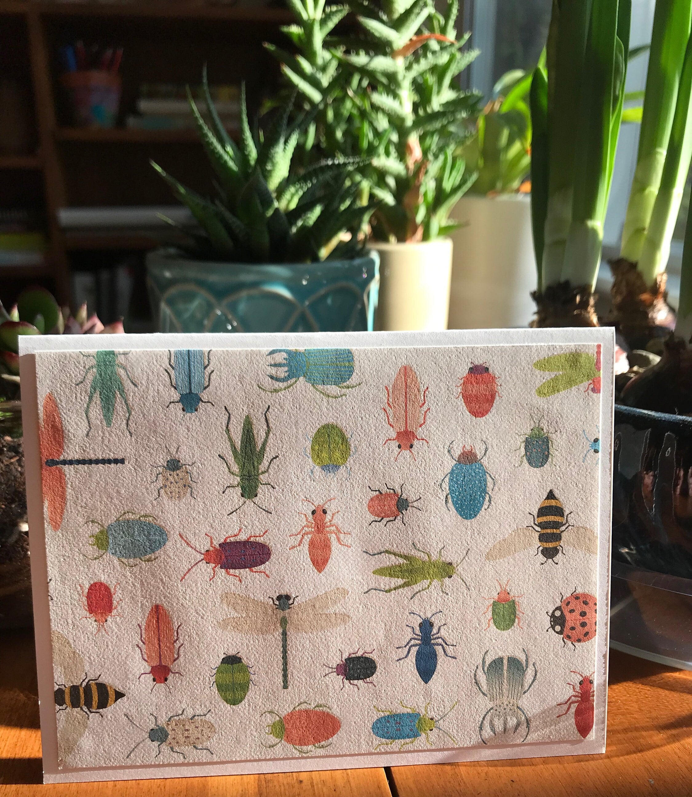 Bugs, Bugs, and More Bugs | Insects | Set of 5 | Note Cards | Blank ...