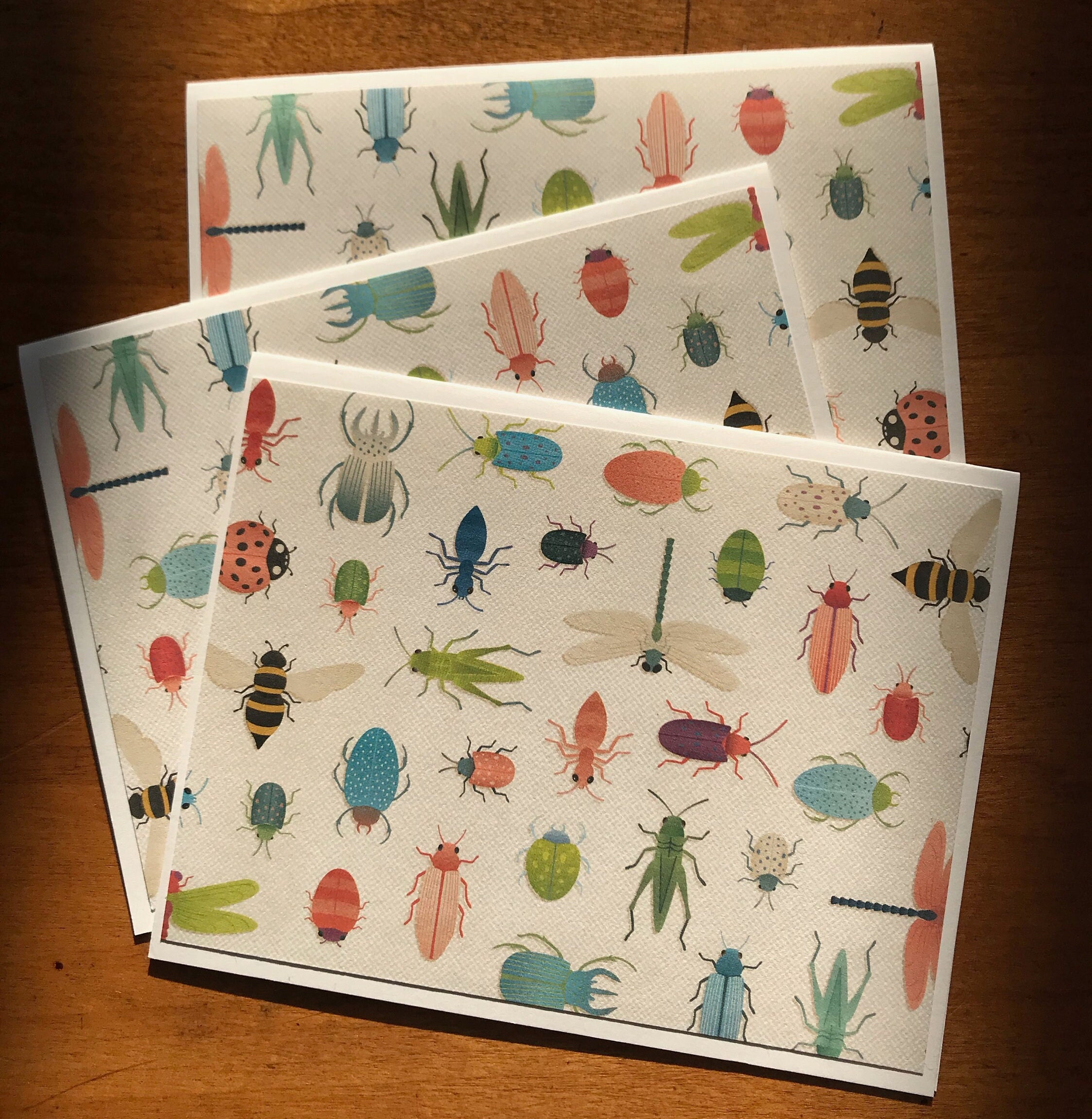 Bugs Bugs and More Bugs Insects Set of 5 Note Cards - Etsy