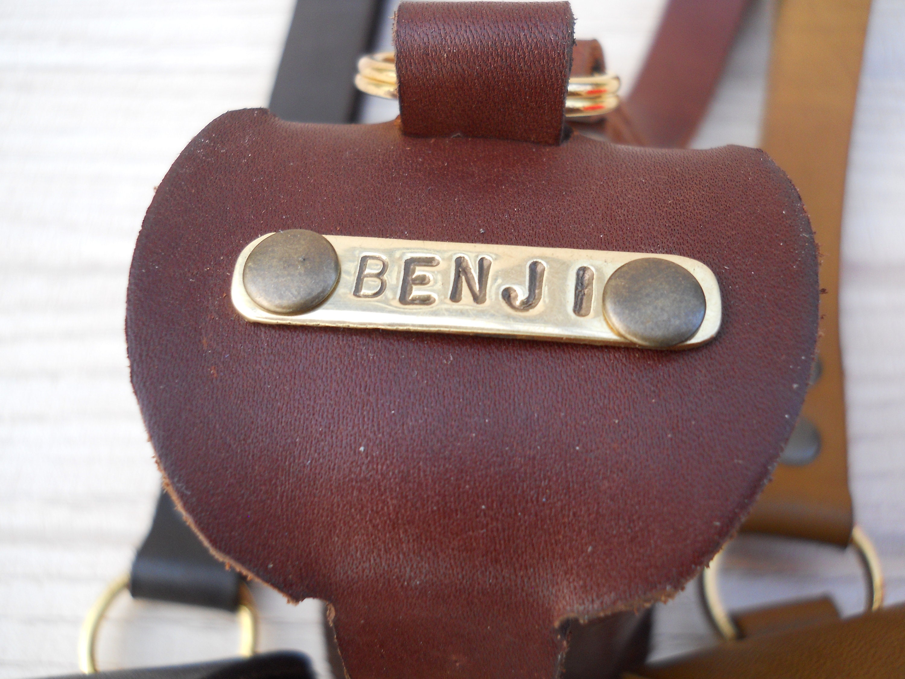 Personalized Leather Dog Bag Poop Bag Dispenser Leather Poop | Etsy