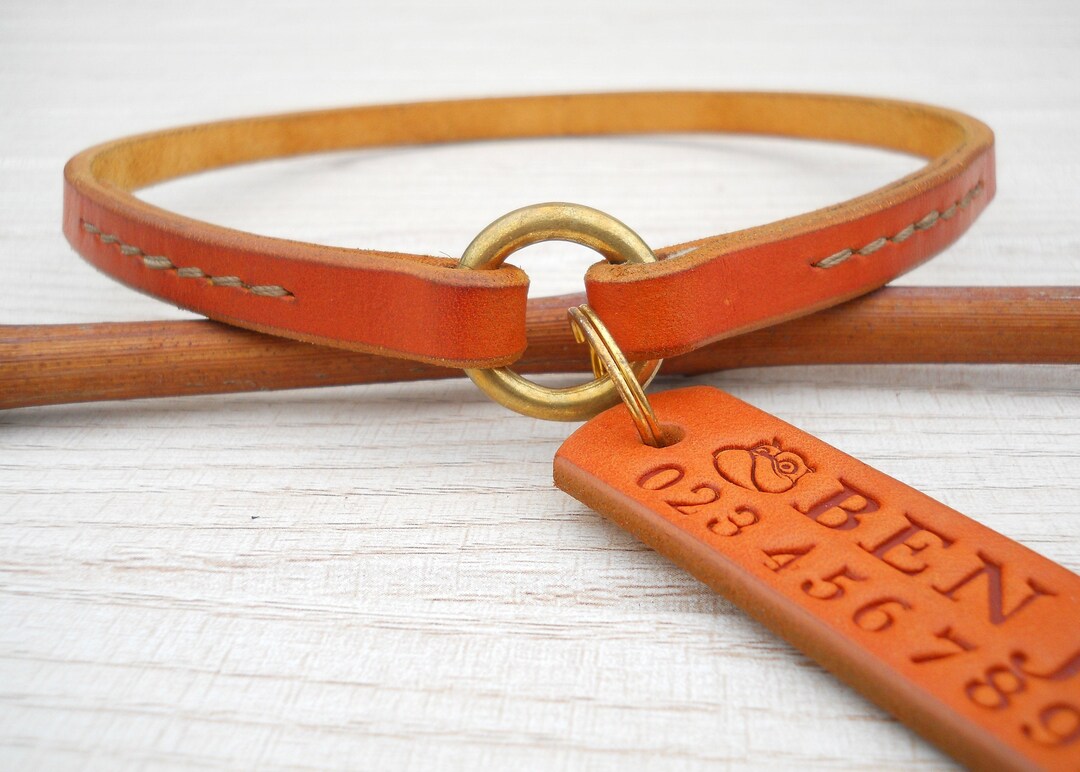 Pumpkin Leather Dog Tag Collar, House Collar With Leather ID Tag, Dog ...