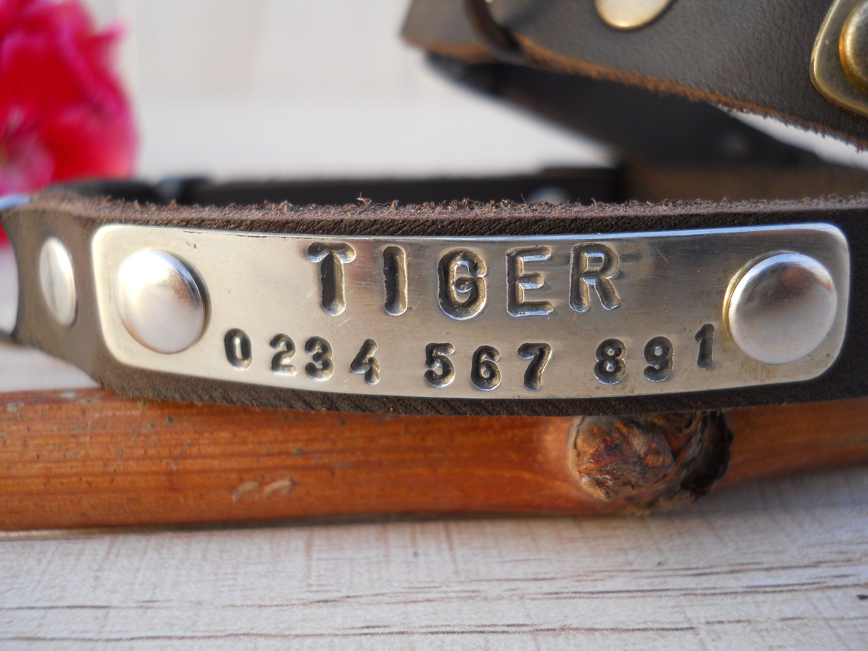 Cat Collar Leather Cat ID Tag Breakaway Cat Collar - Etsy