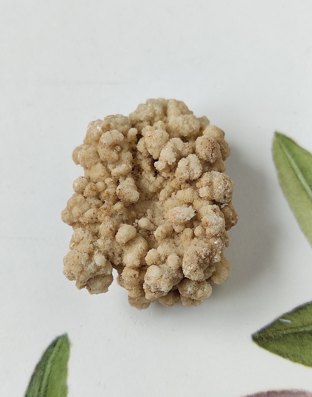 Sacred Phra Tad Seewali Cave Element Sacred Relic Stone for - Etsy