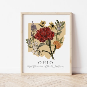 Ohio State Flower Art Print Red Carnation & Ohio Wildflowers - Etsy