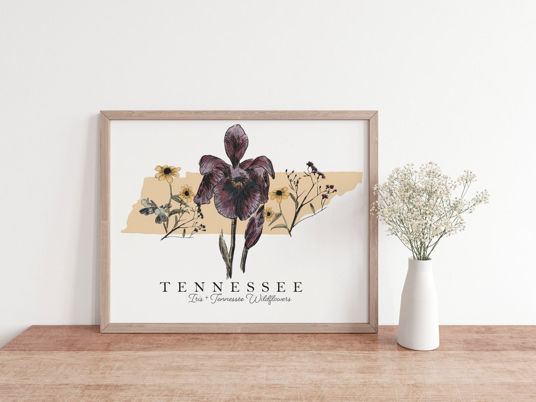 Tennessee State Flower Iris Art Print Tennesse Wildflowers - Etsy España