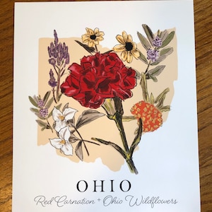Ohio State Flower Art Print Red Carnation & Ohio Wildflowers - Etsy