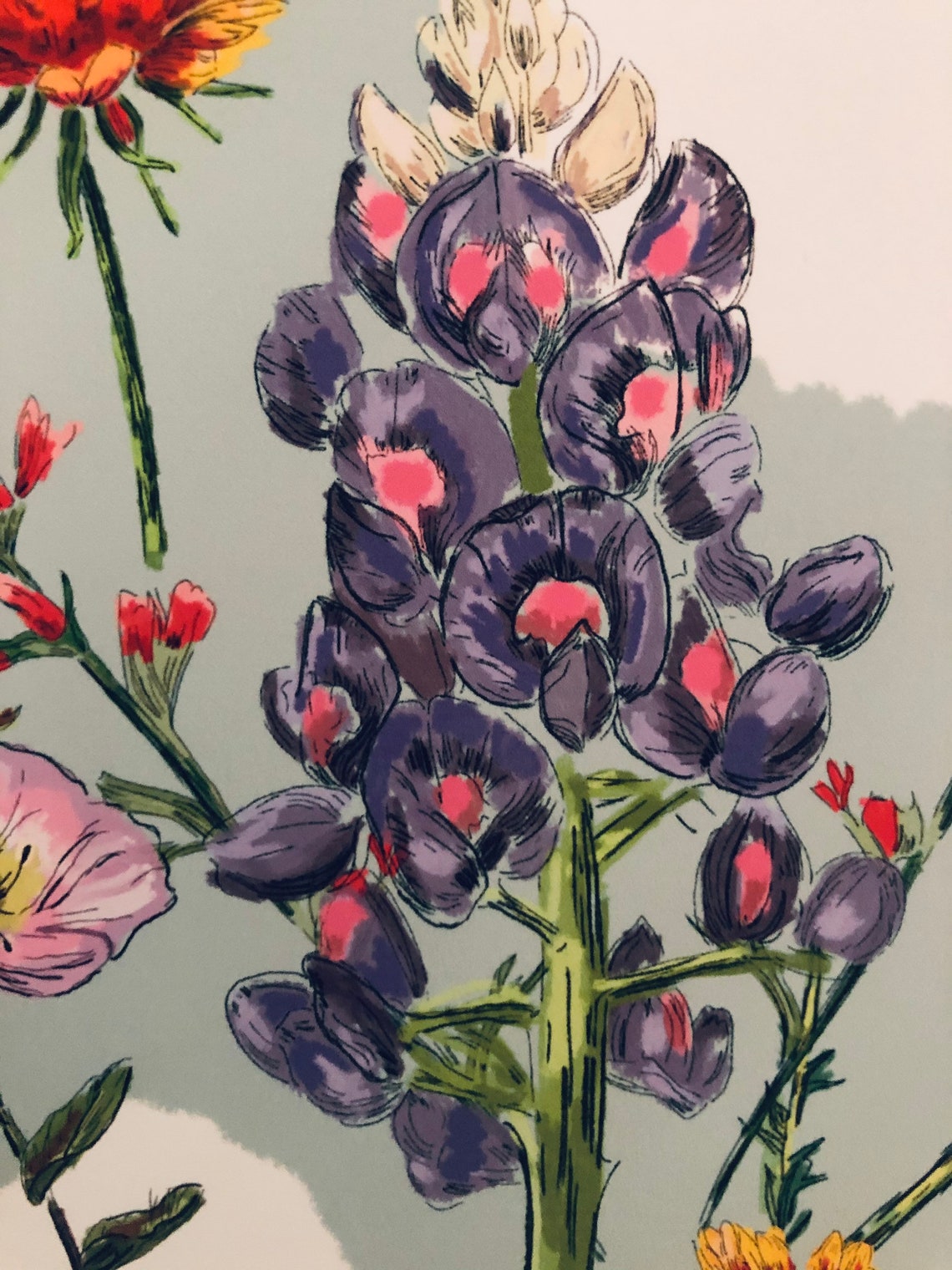 Texas State Flower Art Print Bluebonnet and Texas Wildflowers | Etsy