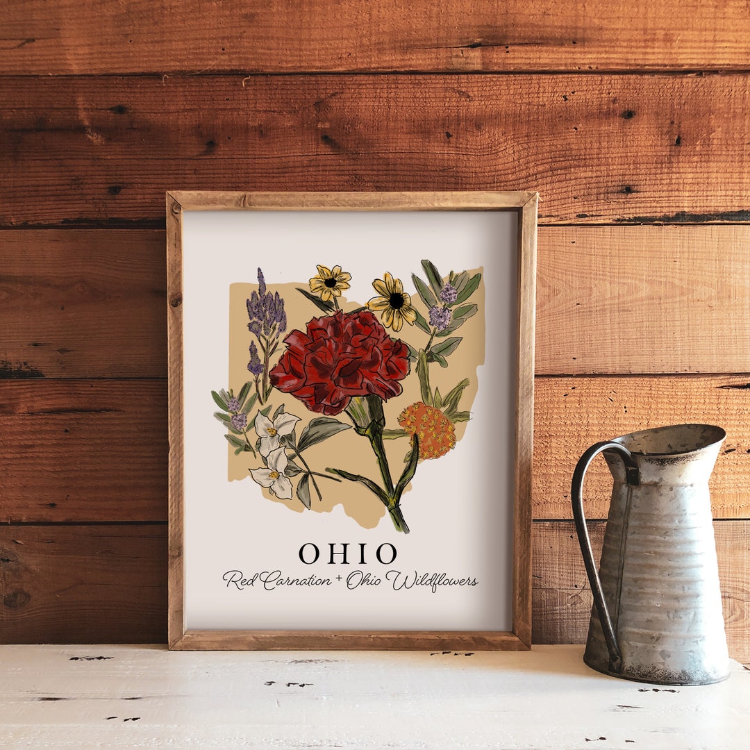 Ohio State Flower Art Print Red Carnation & Ohio Wildflowers - Etsy