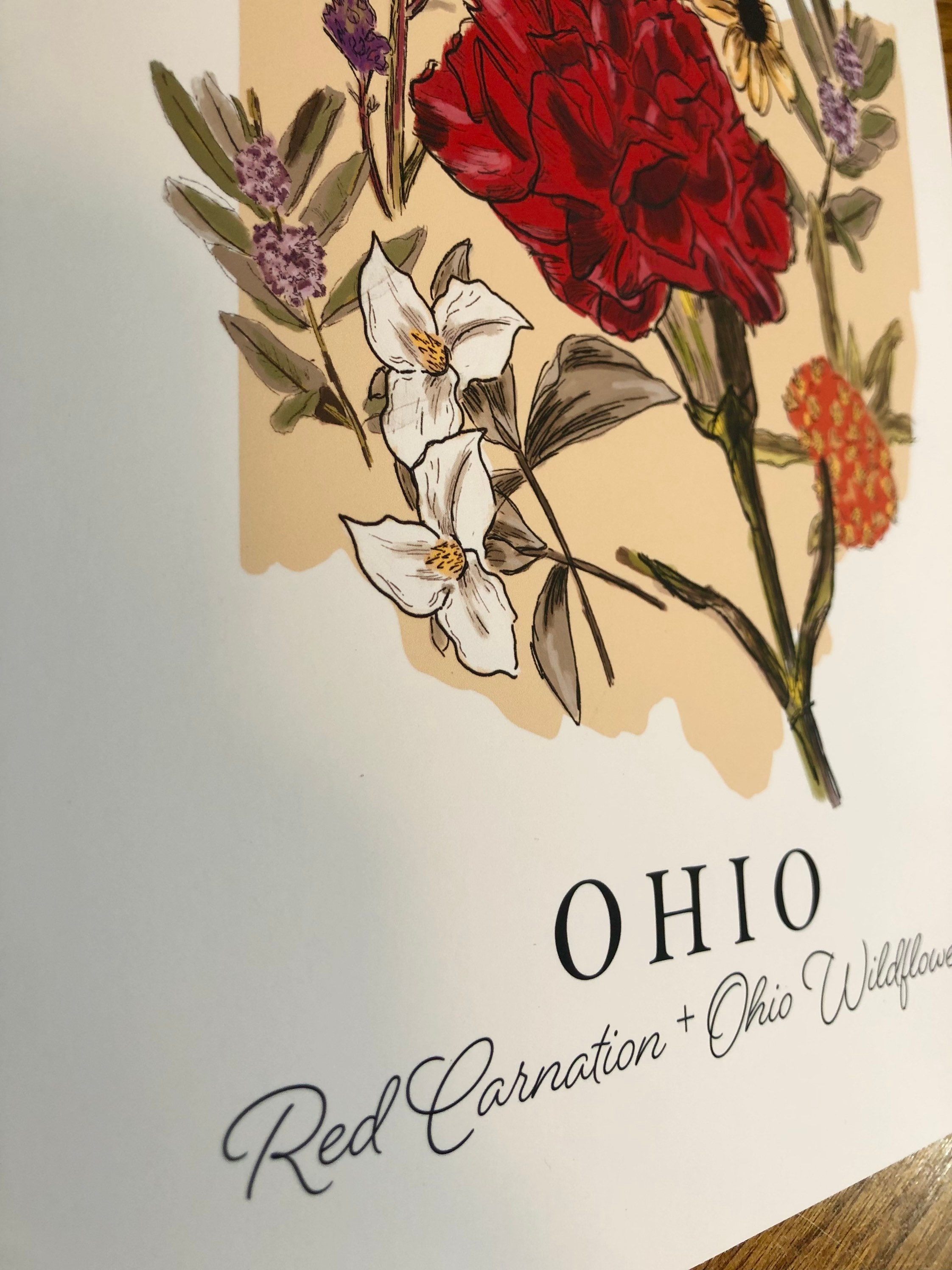 Ohio State Flower Art Print Red Carnation & Ohio Wildflowers | Etsy