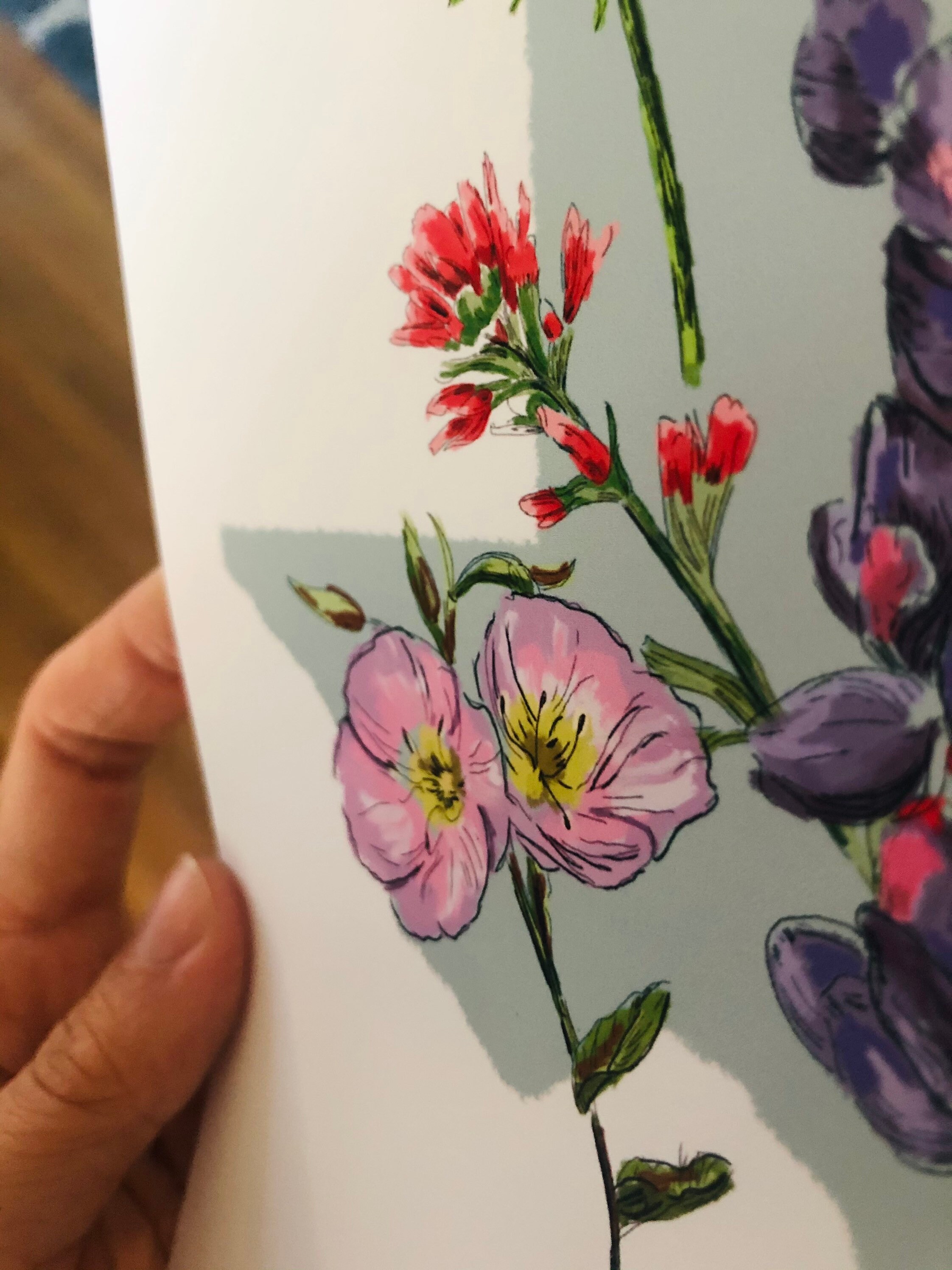 Texas State Flower Art Print Bluebonnet and Texas Wildflowers | Etsy