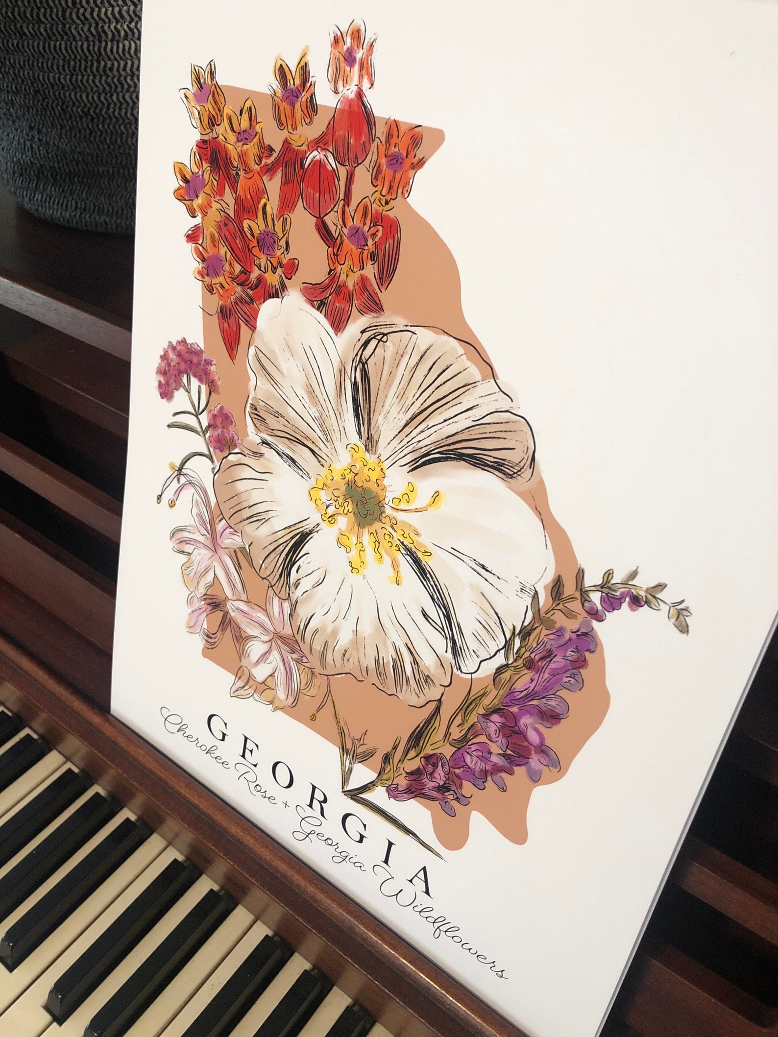 Georgia Art Print Georgia State Flower Cherokee Rose Georgia | Etsy