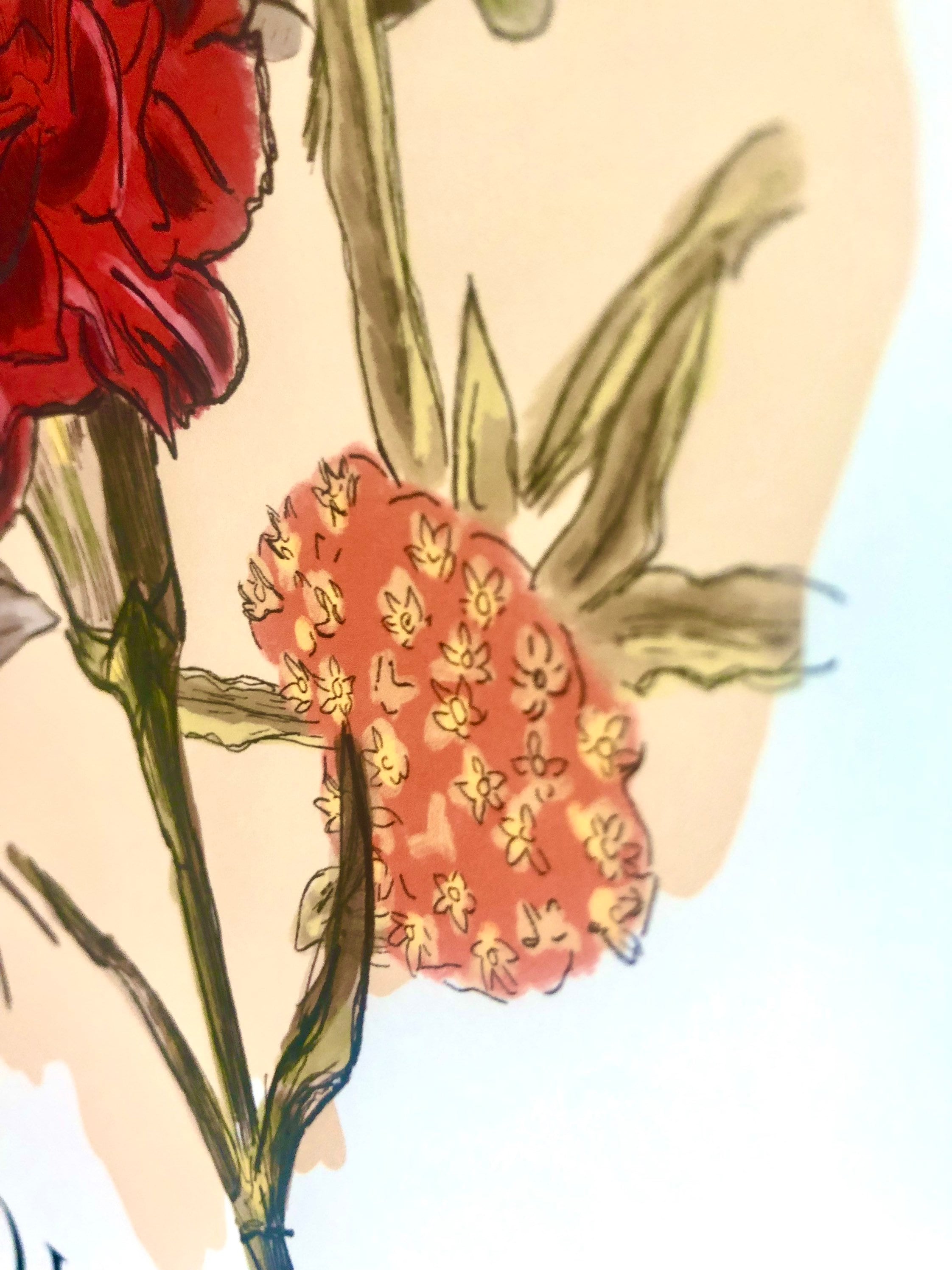 Ohio State Flower Art Print Red Carnation & Ohio Wildflowers | Etsy