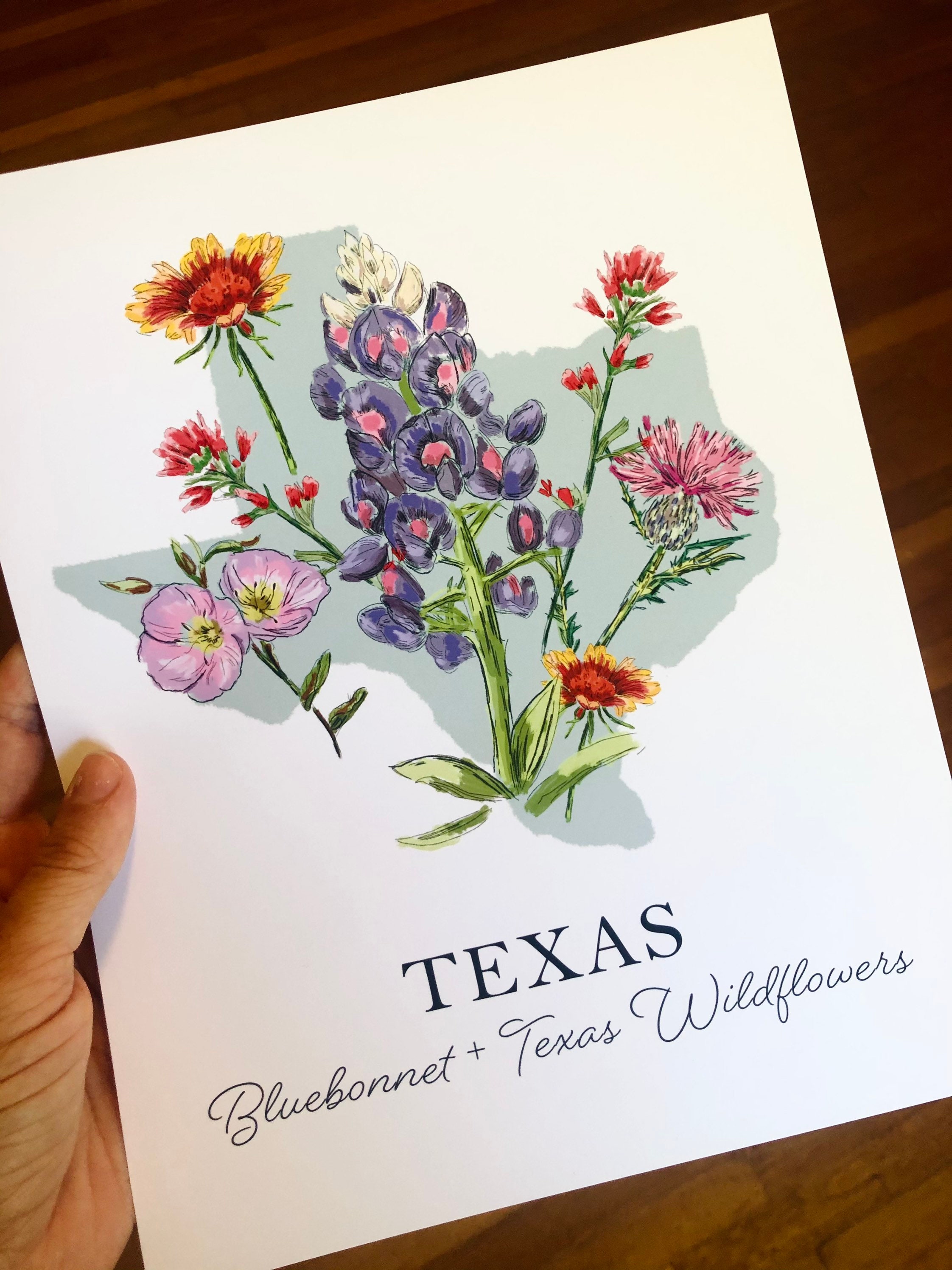 Texas State Flower Art Print Bluebonnet and Texas Wildflowers | Etsy