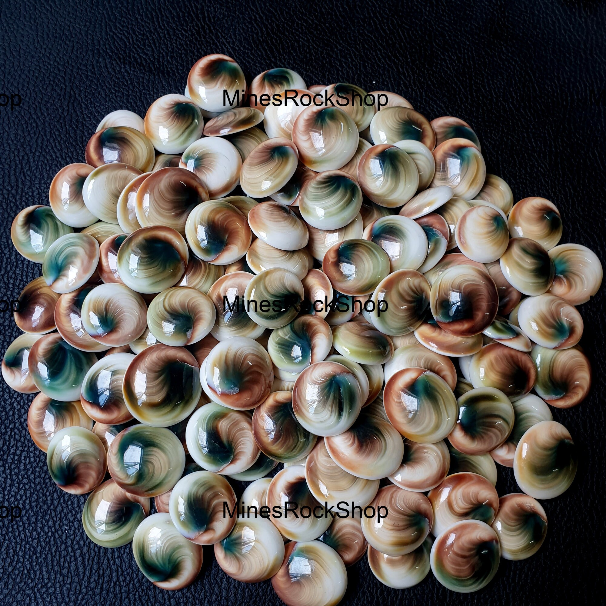 Wholesale Lot Shiva Eye Lot Natural Shiva Eye Shell Gemstone | Etsy