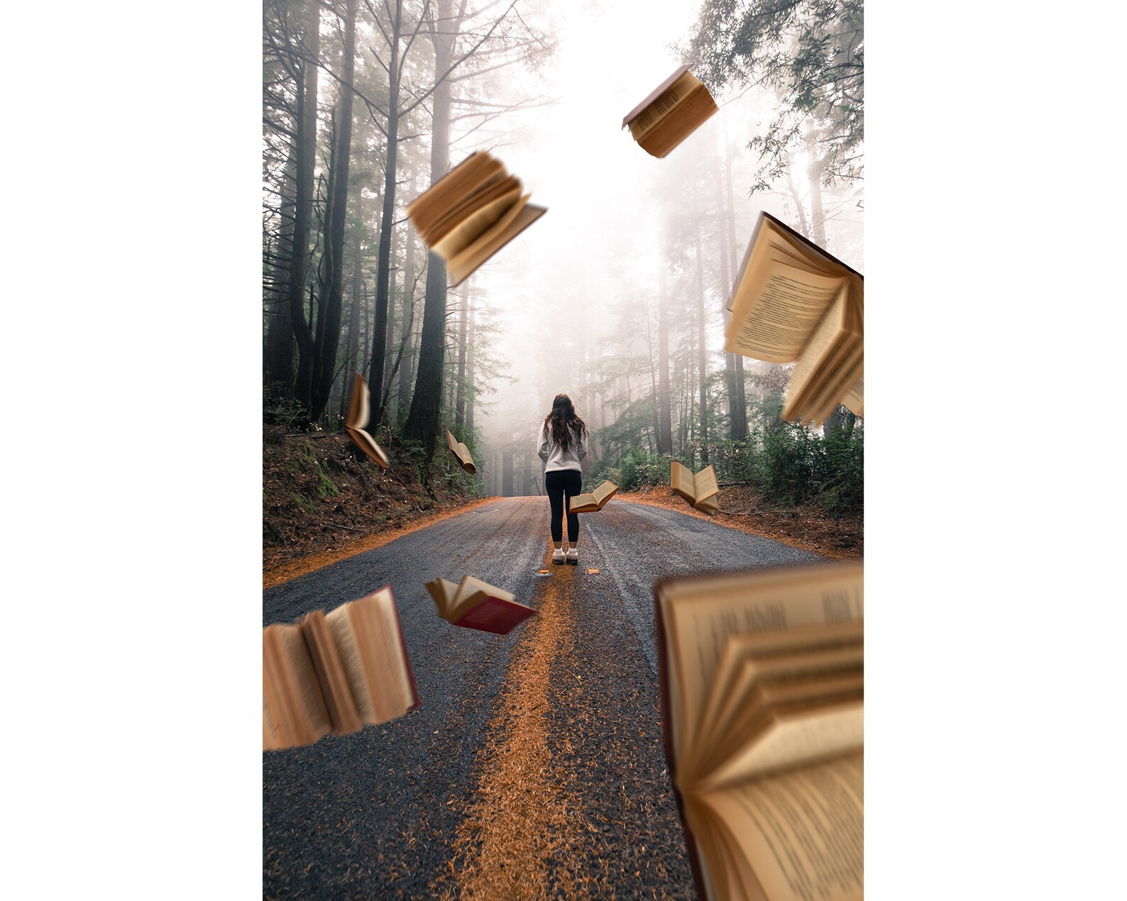 Vintage Flying Book and Pages Overlay for Backdrop, Old Book Pages and ...