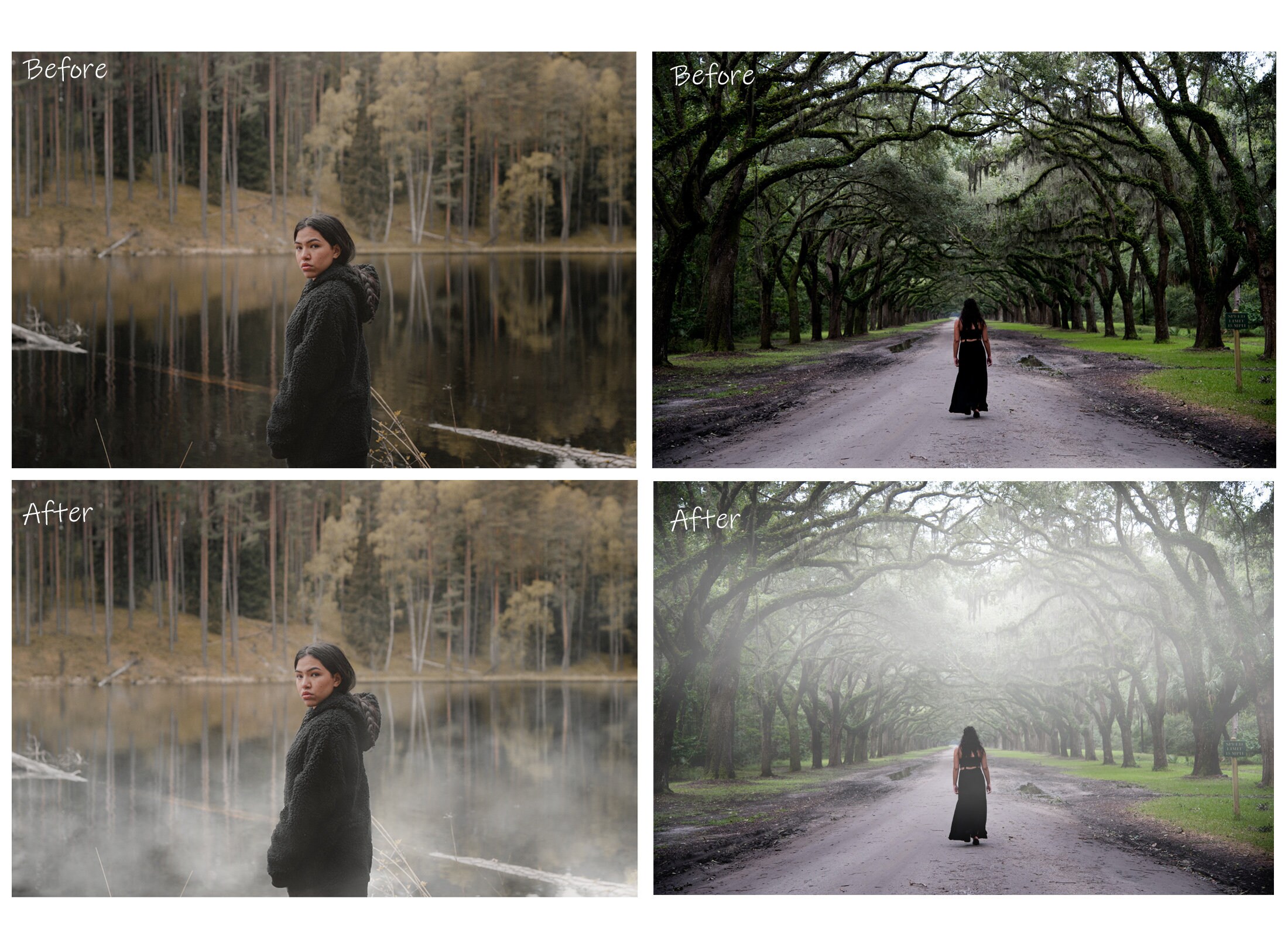 48 Vintage Misty Fog Overlay's for Backdrop, for Portraits, Realistic ...