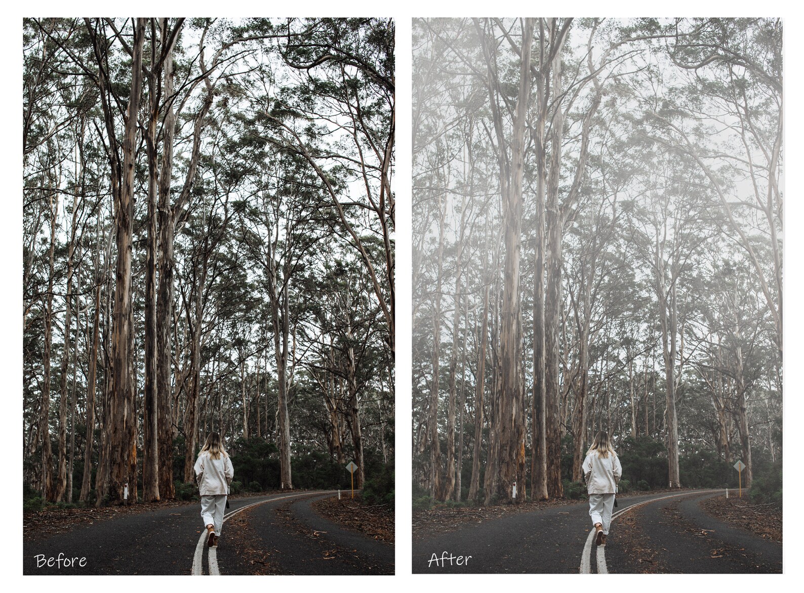 48 Vintage Misty Fog Overlay's for Backdrop, for Portraits, Realistic ...