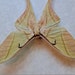 Actias Rhodopneuma Pink Spirit Moth Actias Rhodopneuma Framed ...