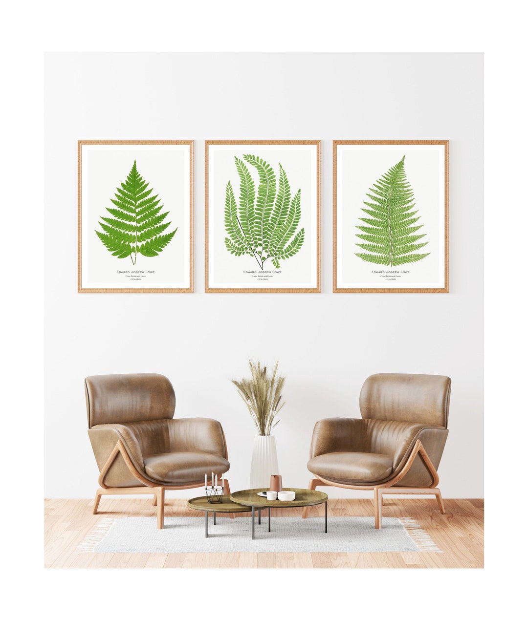 Vintage Fern Prints Set: Edward Joseph Lowe Botanical Art - Etsy