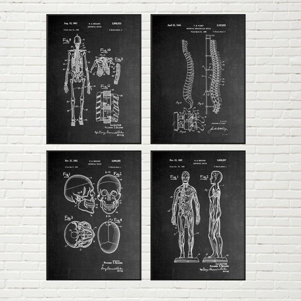 Doctor Human Body - Etsy