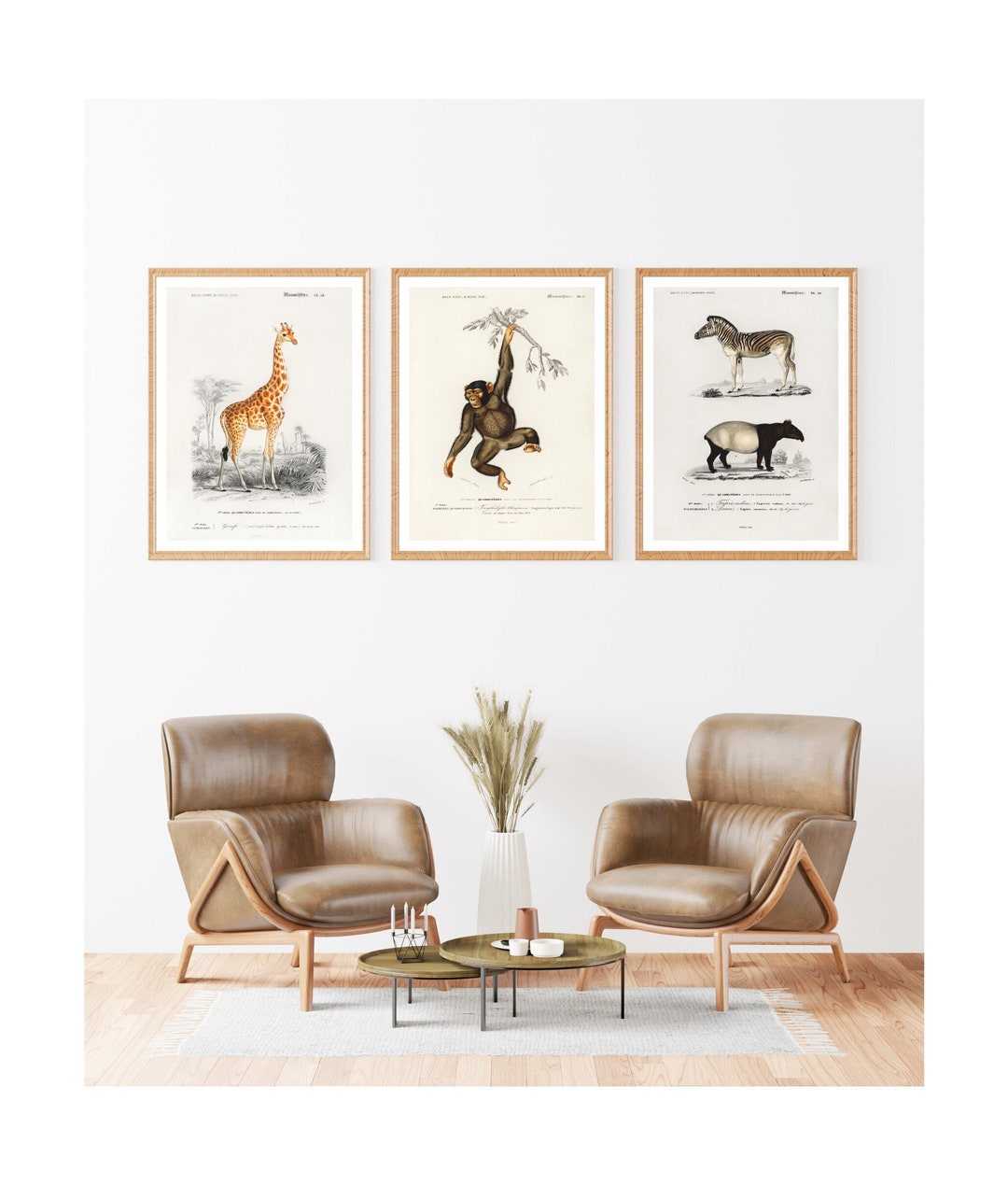 Vintage Animal Prints Set of 3, Animal Poster, Safari Nursery Art ...