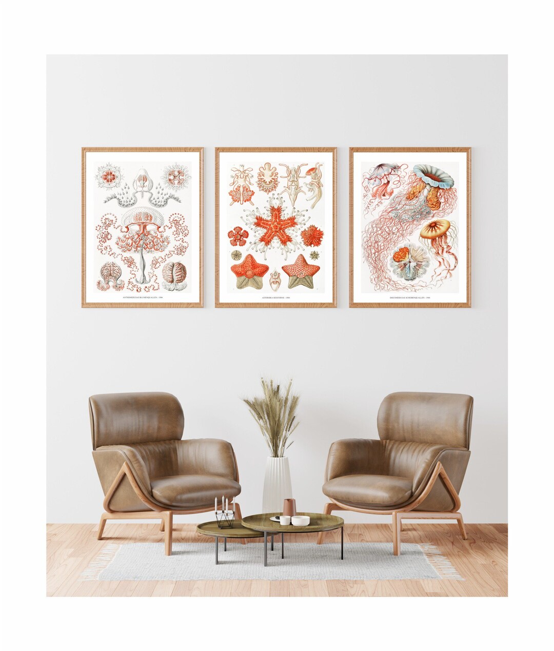 Ernst Haeckel Prints Set of 3, Sea Life, Vintage Animal Print ...