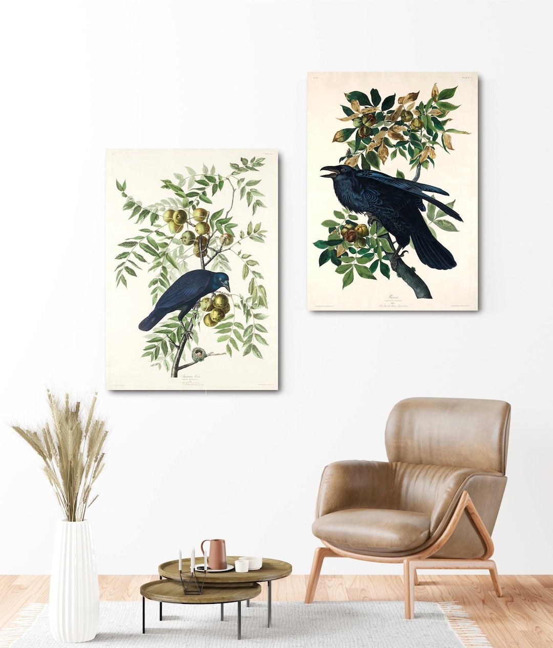 Audubon Raven and Crow Canvas Set of 2 - Raven Prints, Crow Canvas ...