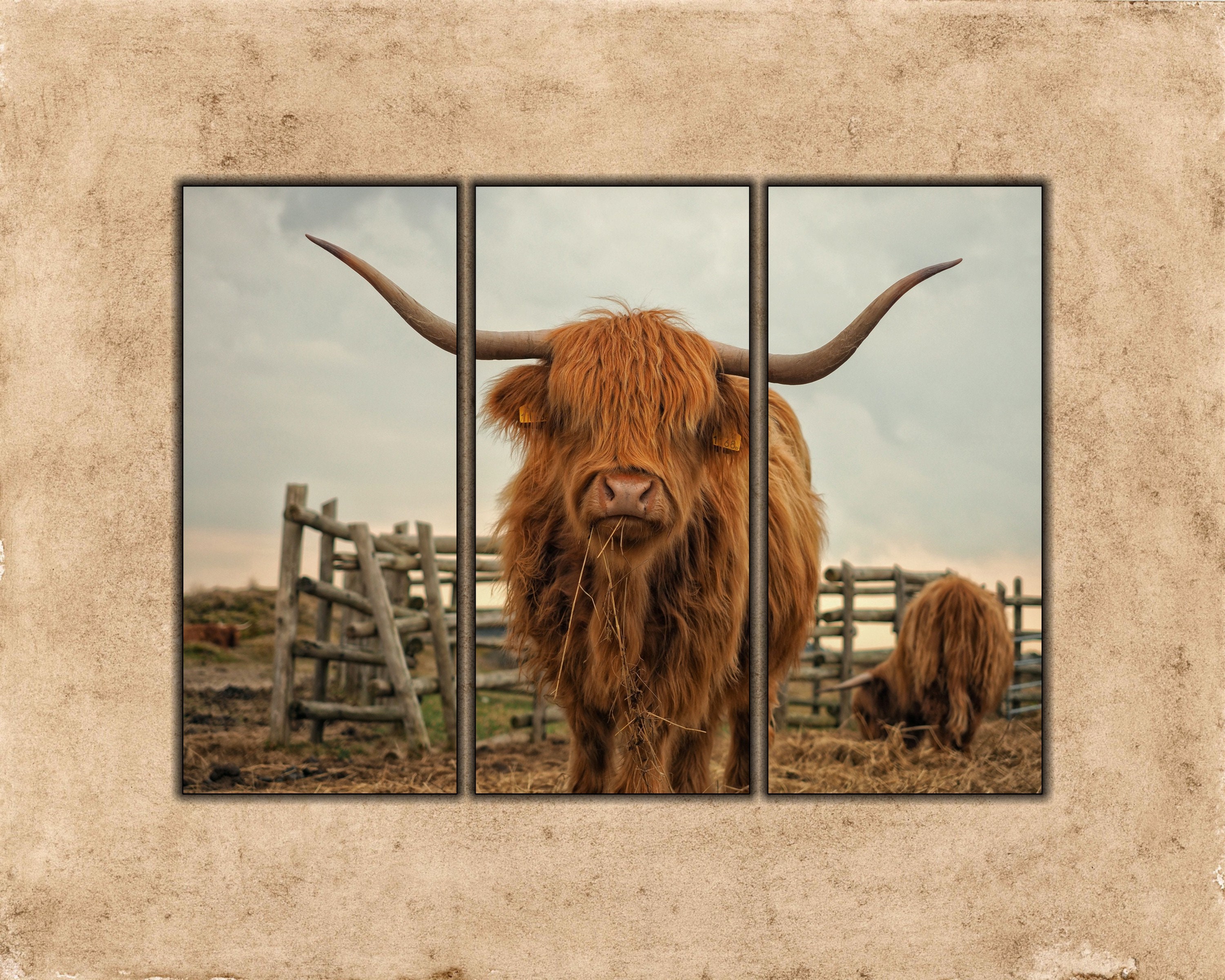 Highland Cow Wall Art Highland Cow Canvas Wall Art Canvas - Etsy Canada