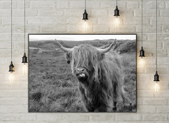 Highland Kuh Wandkunst Highland Kuh Leinwand Wandkunst | Etsy
